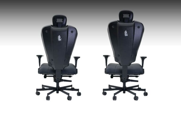 Office Chair Highlights: Benefits of Split-Back Chairs